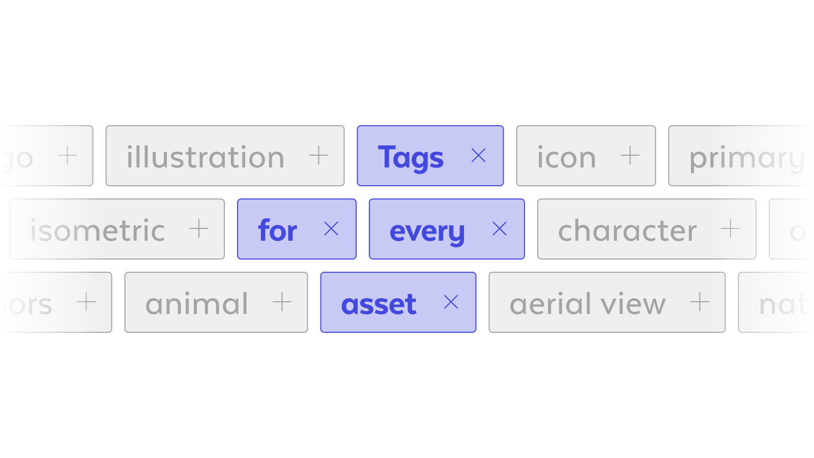 Digital Asset Library & Management Storage | Lingo
